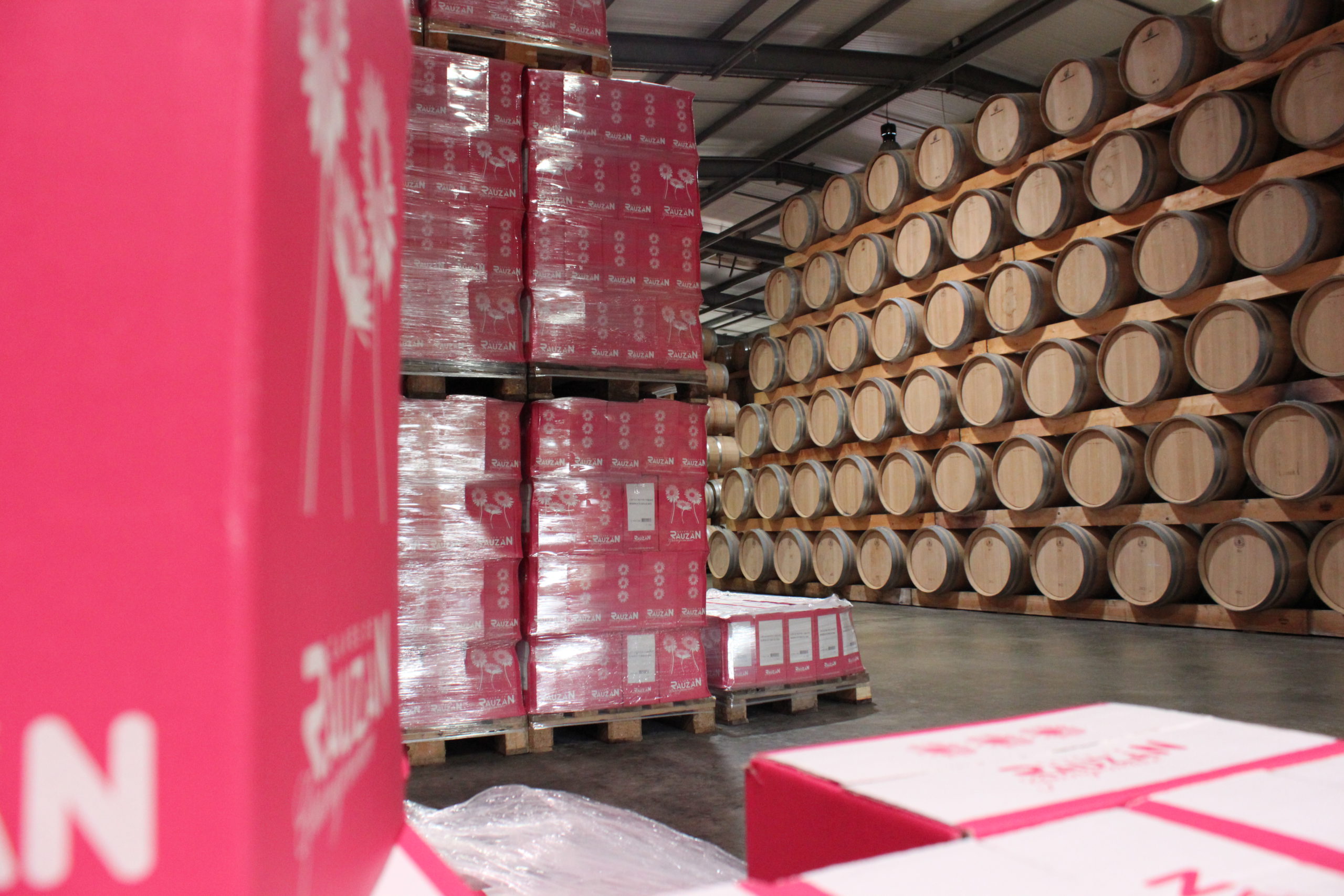 The standard ISO 14001 - Caves de Rauzan, le Blog